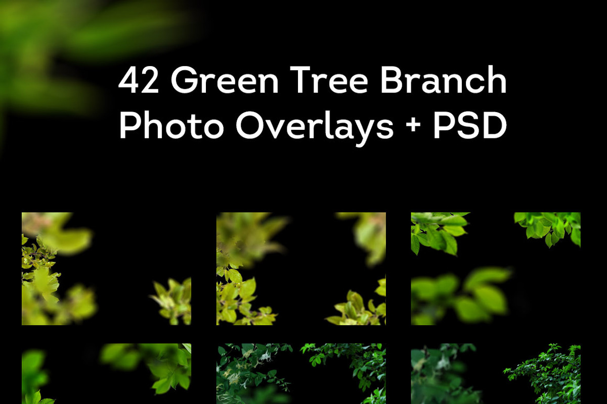 42 Green Tree Branch Photo Overlays, an Action Add-On by PhotoEffects.Store
