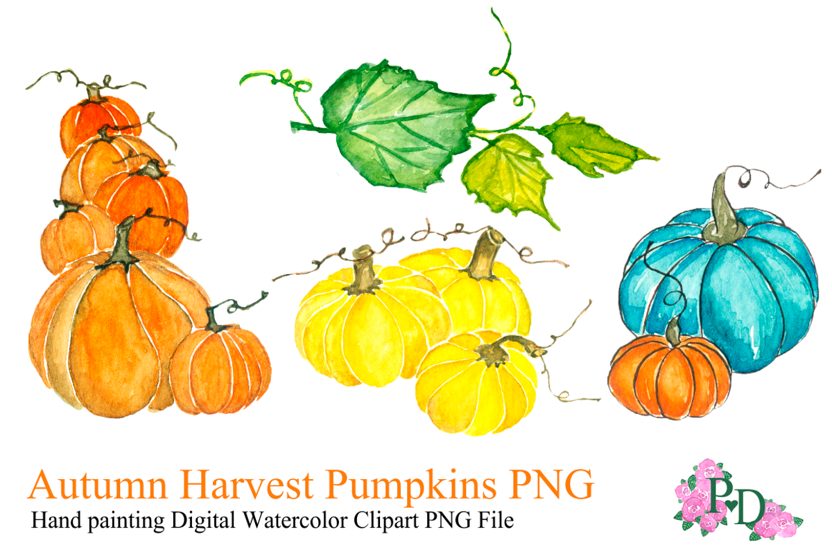 Autumn Pumkin Watercolor Clipart PNG, an Illustration by Magic Story Studio