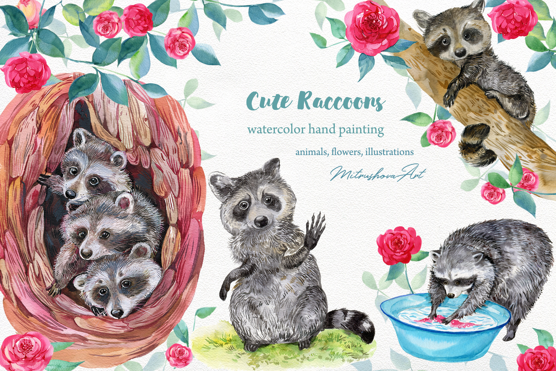 Cute raccoons .watercolor clipart, an Animal Illustration by MitrushovaArt