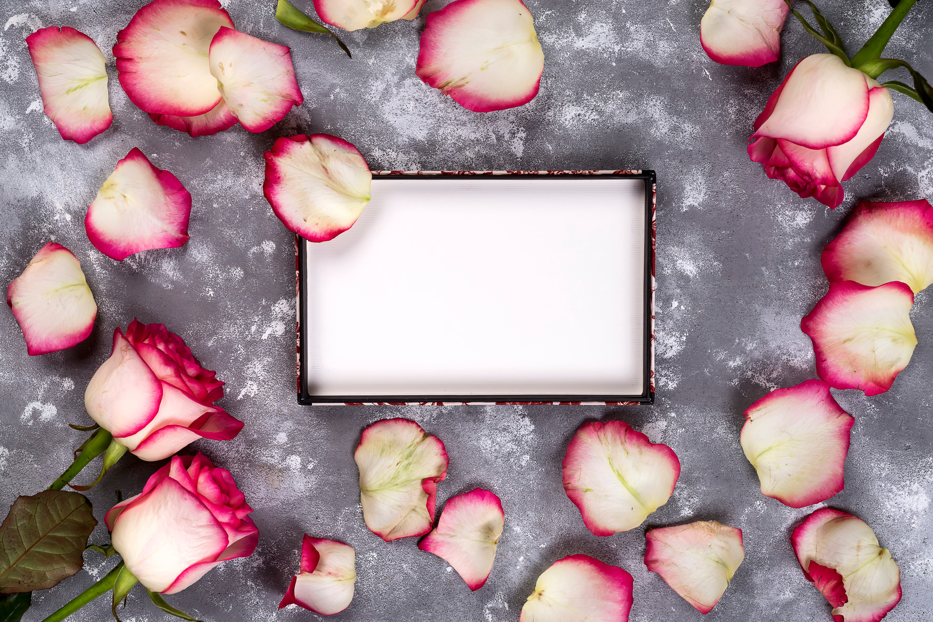 Beautiful rose flowers on gray stone table. Floral border., a Nature ...