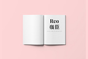 Reo - Book / eBook Template, a Magazine Template by pmvch