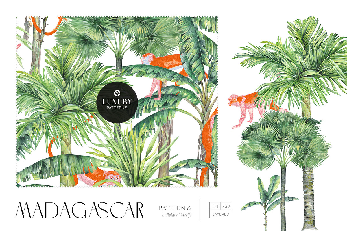 Madagascar, luxury Patterns!, a Pattern Graphic by TSTUDIO