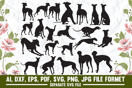 Dog digital assets for download | Creative Market