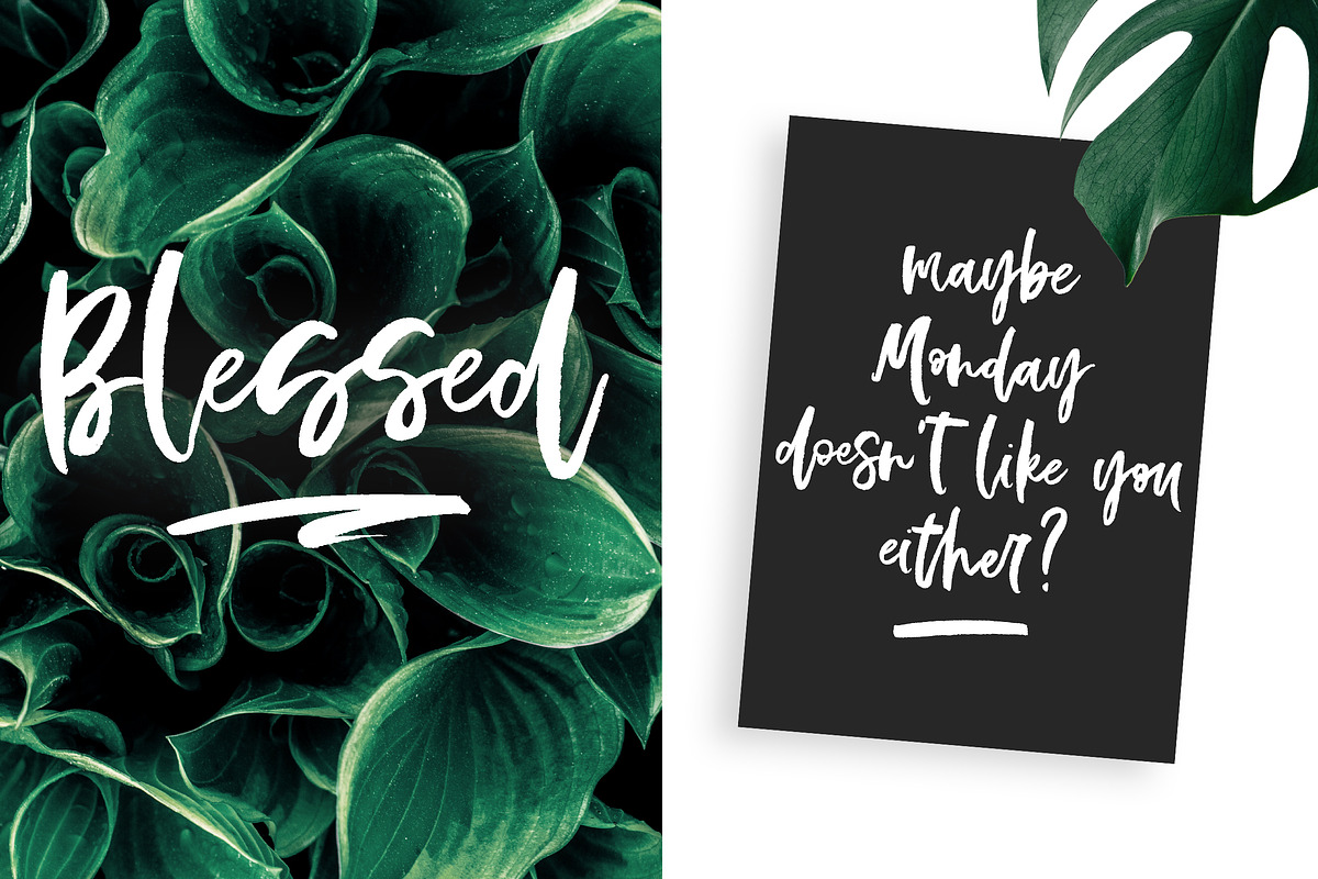 Bellamy Script, a Script Font by Calamar Studio