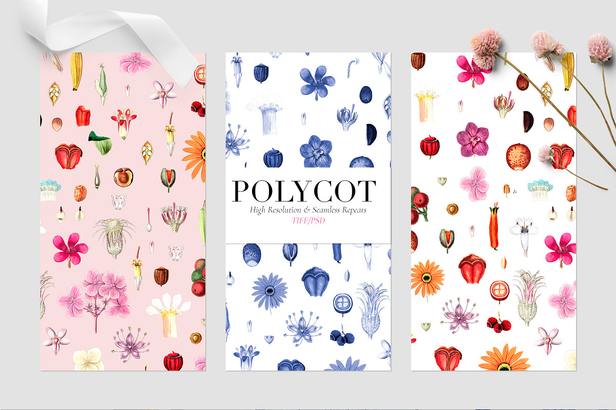 POLYCOT Exquisite collectibles!, a Pattern Graphic by TSTUDIO