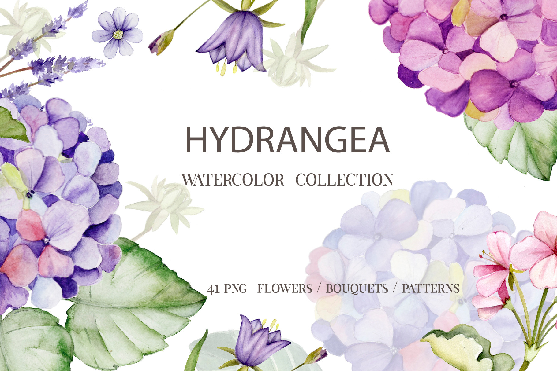 Watercolor hydrangea. Floral clipart, an Illustration by MarinaSur_Art