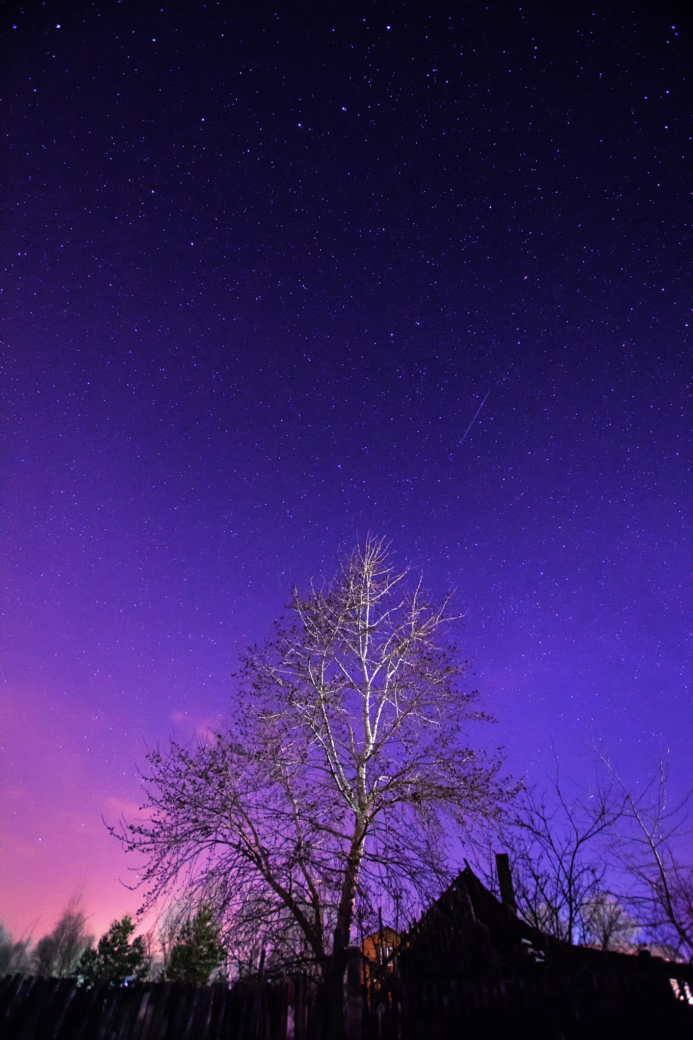 Starry night sky over tree and small house, a Nature Photo by Edgieus