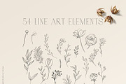 Floral Line Art & Botanical Clipart