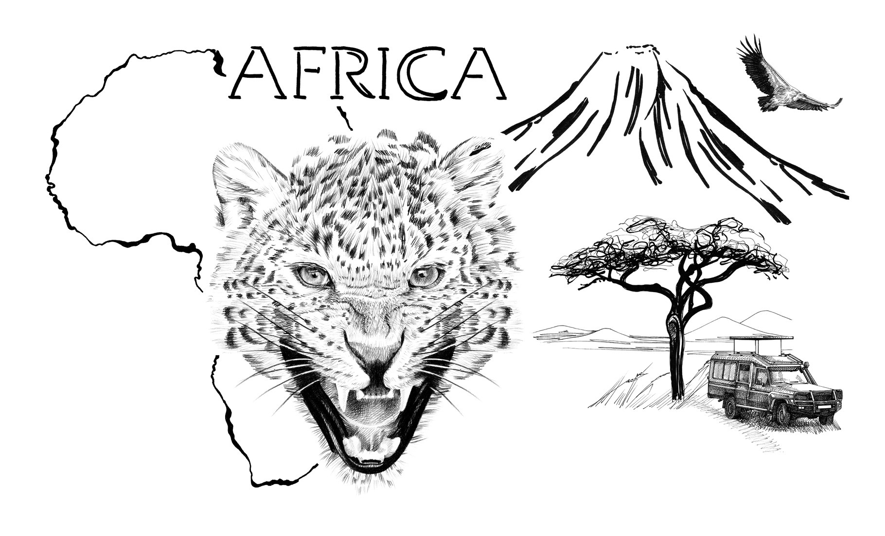 Leopard portrait on Africa map backg | Education Illustrations ...