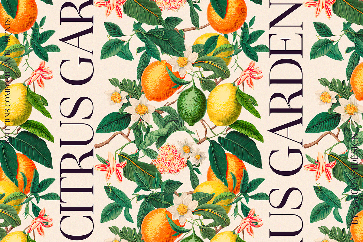 Citrus Garden Floral Set & Poster, an Object Illustration by nadispasibenko
