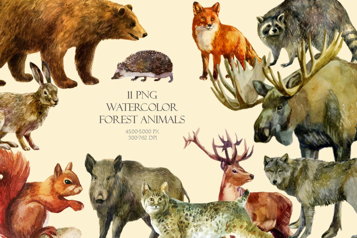 Watercolor forest animals and birds, an Animal Illustration by m-soleil