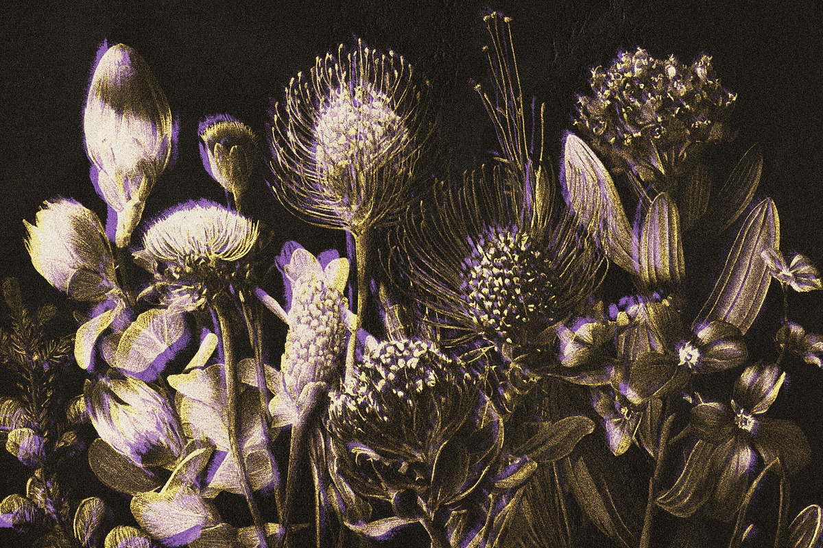 Vintage Paper Print Effect, a Layer Style Add-On by Design Squad