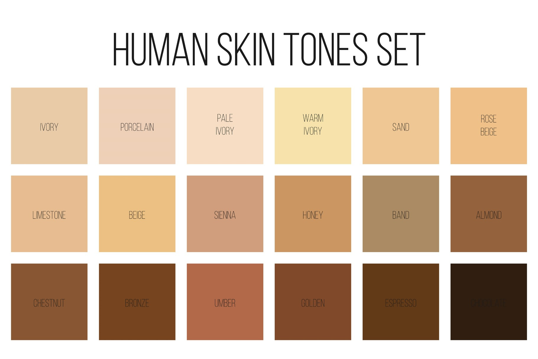 Human skin tone color palette set., a Person Illustration by HAPPY VECTOR