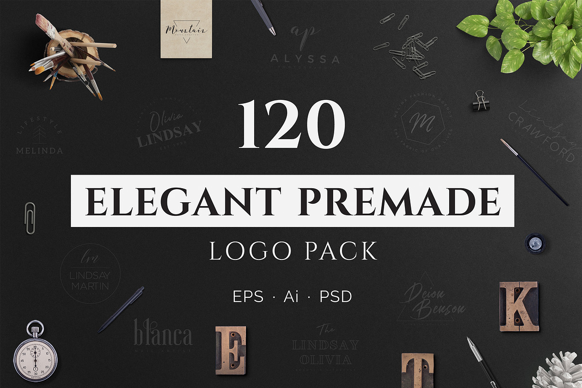 120 Premade Elegant Logo Pack