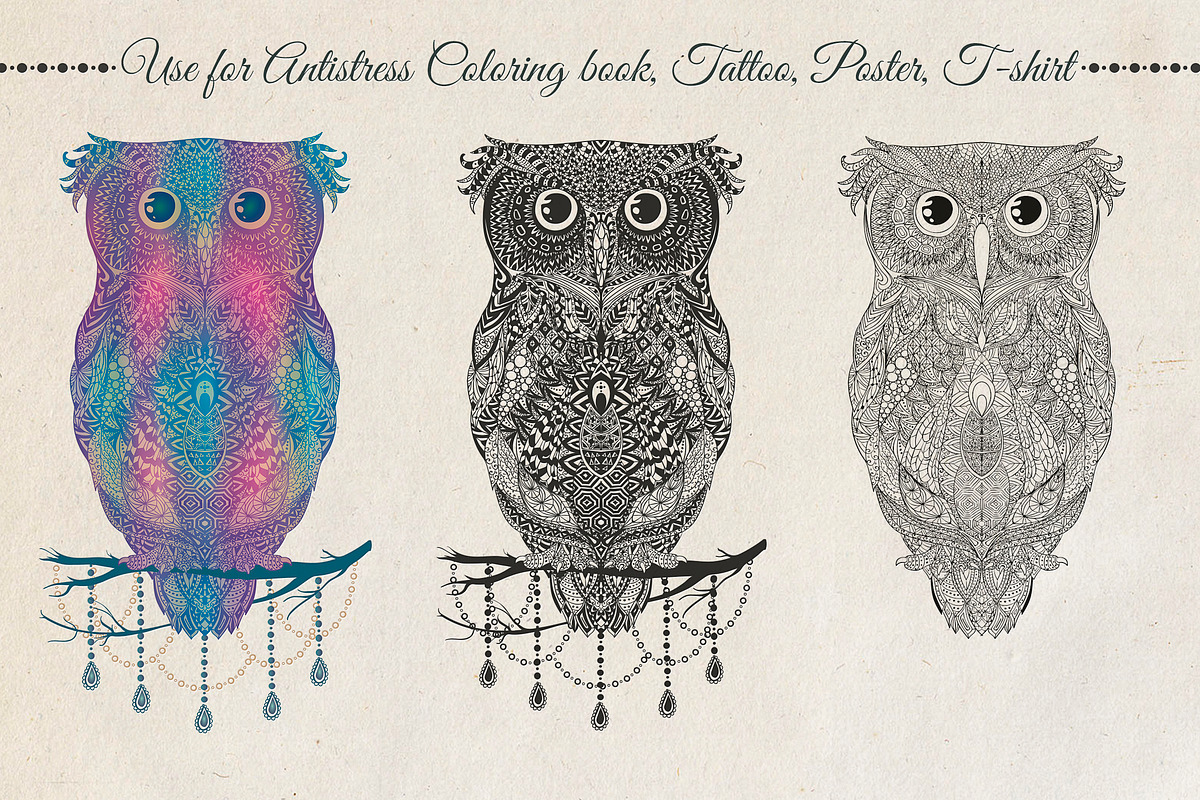 Owl Illustration: Black & Colorful, an Animal Illustration by Olya ...