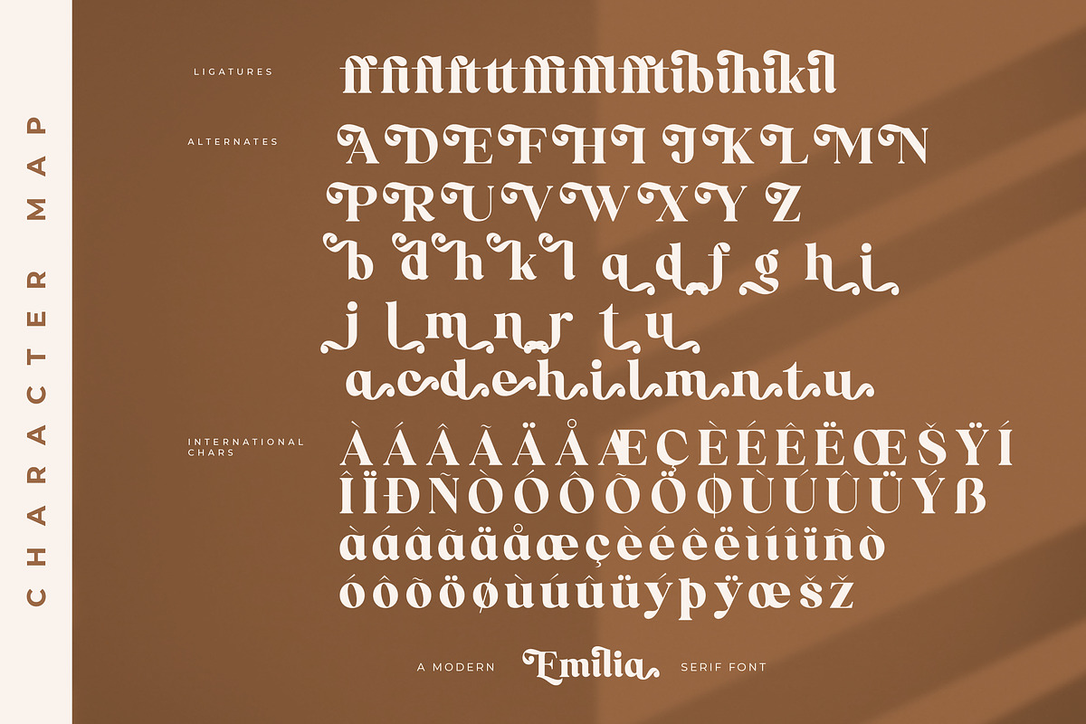 Emilia A Modern Serif Font, a Serif Font by Storytype Studio