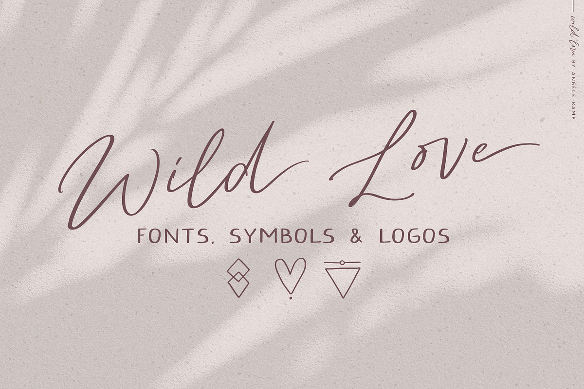 Script font Wild Love logos, a Script Font by Angele Kamp