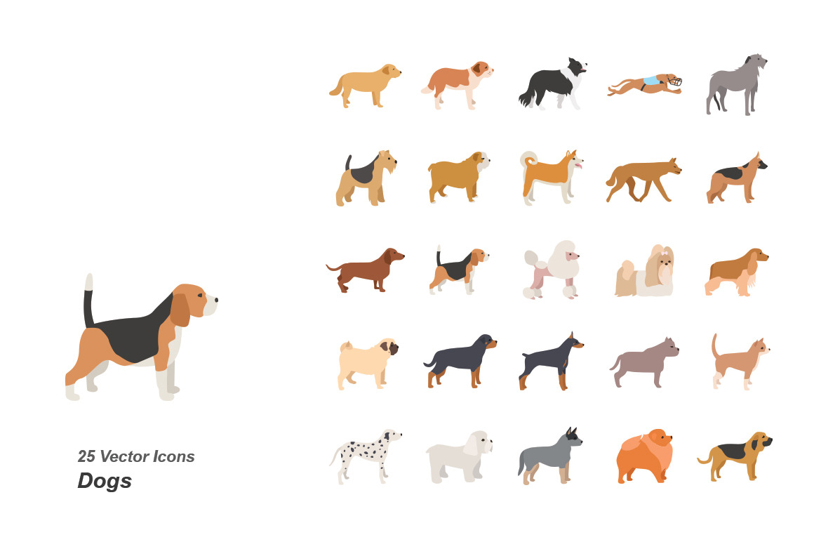 Dogs color vector icons, an Icon by Jisun Park | Creative Market