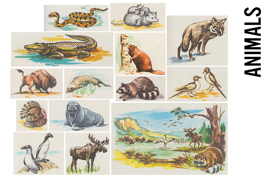 Animals Retro Illustrations Clipart, an Animal Illustration by Pepper