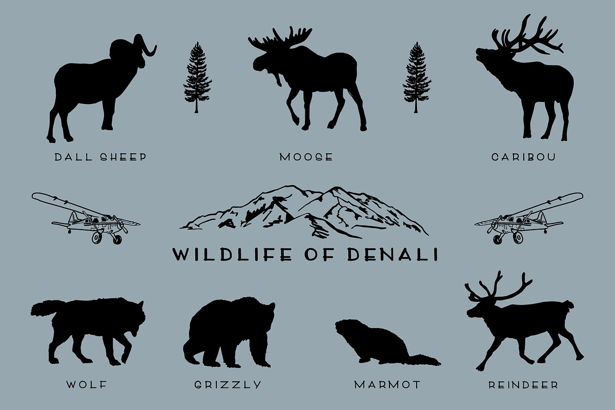 Denali Font, Illustrations, & Logos!, a Serif Font by Midnight Grim