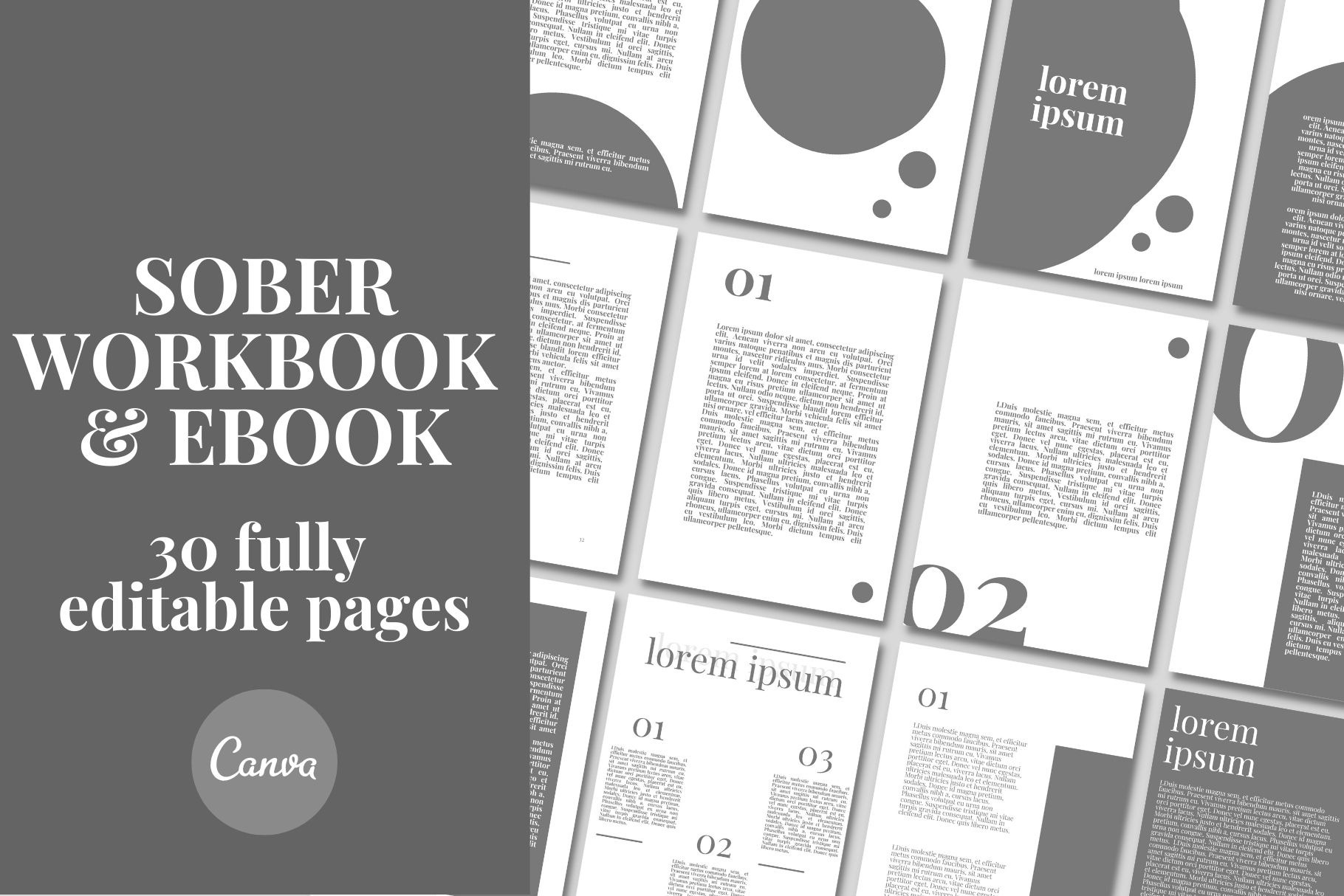 Sober Workbook & Ebook Template
