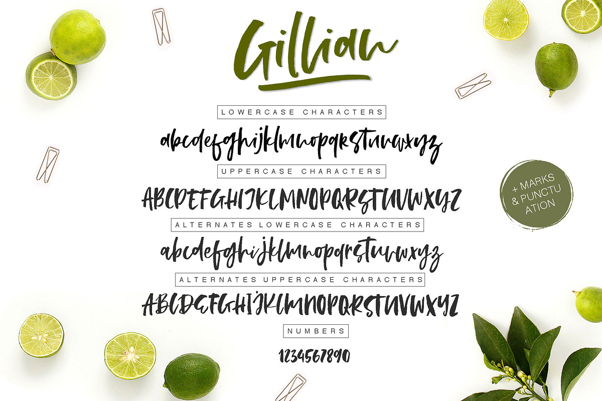 Gillian Font + Extras, a Script Font by Calamar Studio