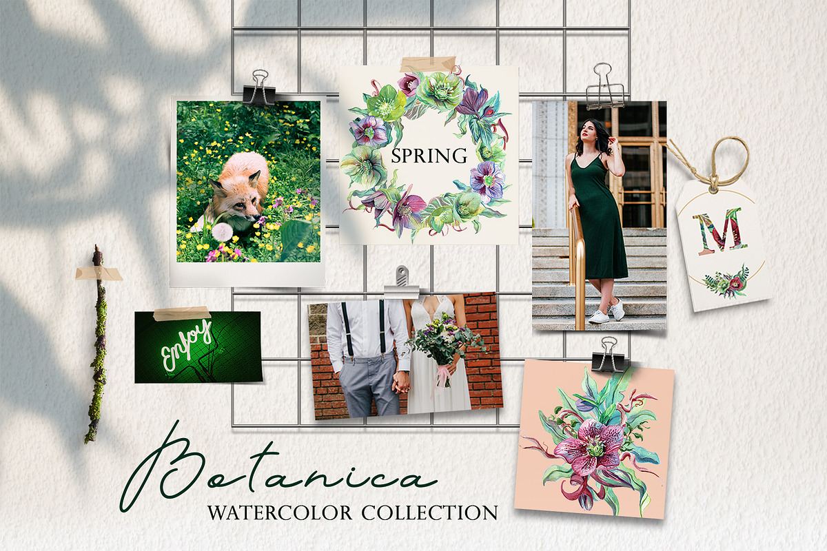 Botanica Floral &Greenery Collection, an Illustration by SunnyAfternoons