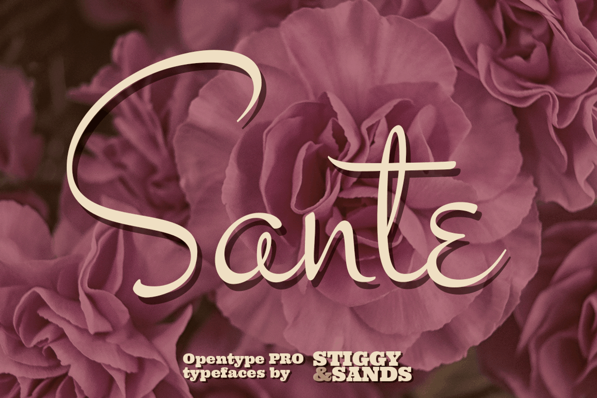 Sante Pro, a Script Font by Stiggy & Sands