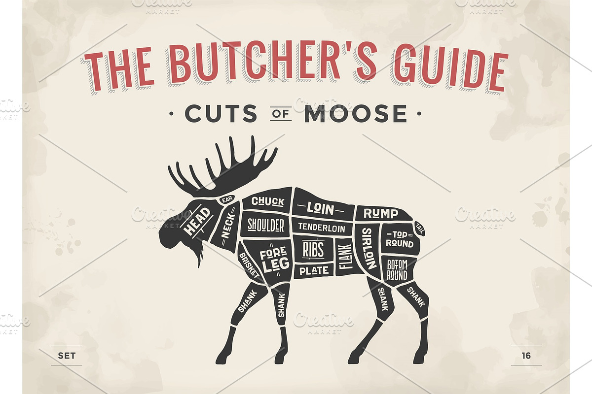 Butcher diagram, scheme - Moose, an Animal Illustration by Foxys Graphic