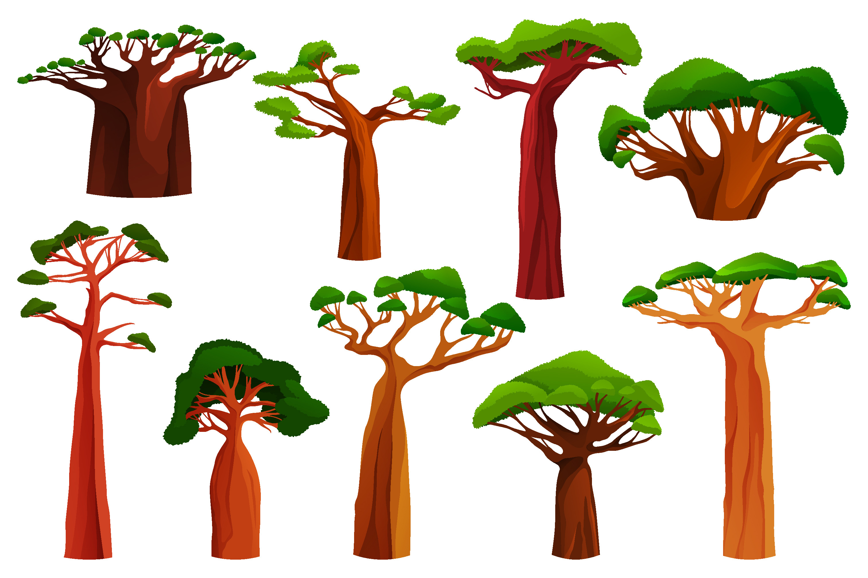 Baobab tree or monkey bread tree set | Creative Market