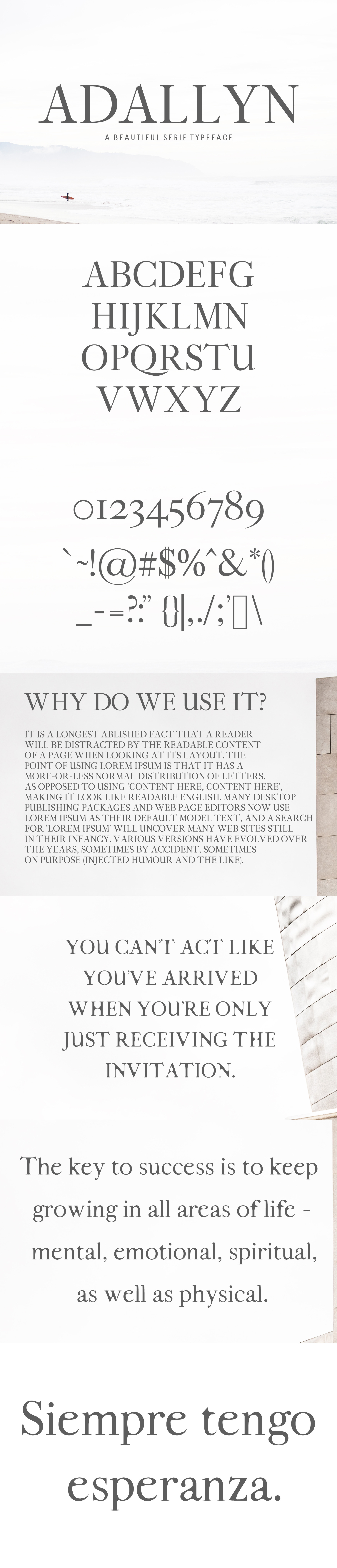 Adallyn Serif Font Family, a Serif Font by Creativetacos