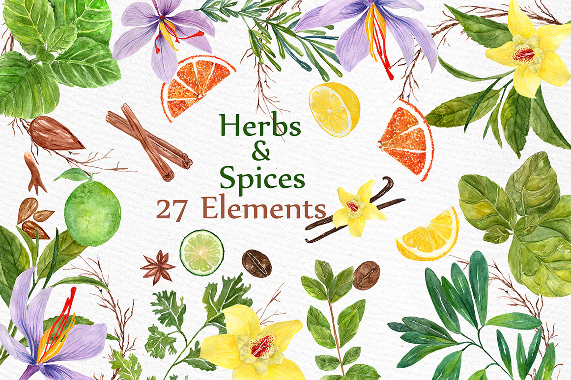 watercolor Herbs and spices clipart | Illustrations ~ Creative Market