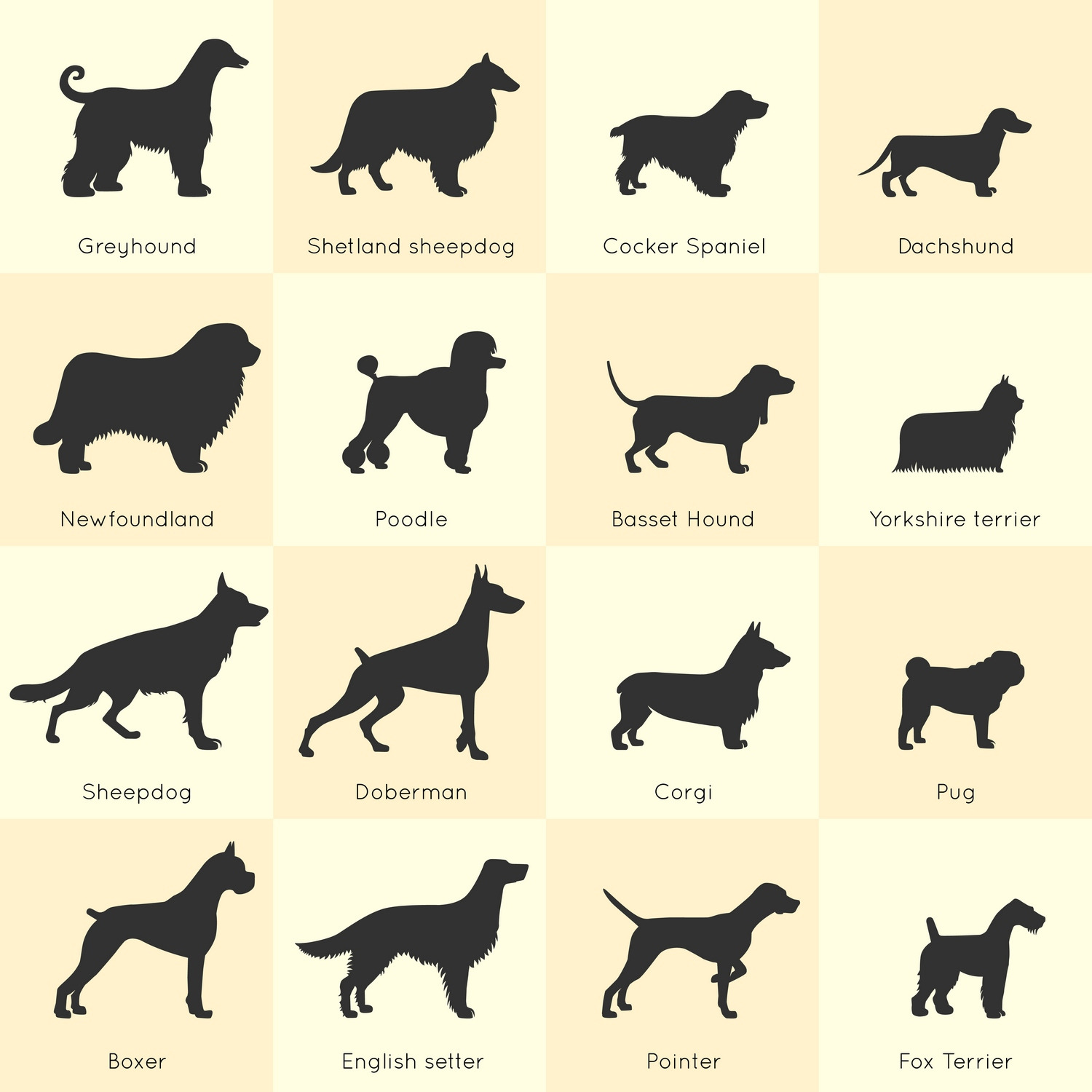 Dogs Breed Icons Set, an Icon by Alexander Belenkiy