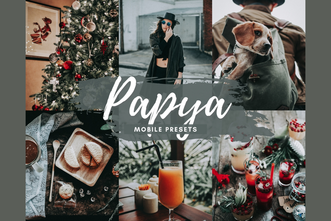PAPAYA Mobile Lightroom Presets, an Action Add-On by 123PRESETS.COM