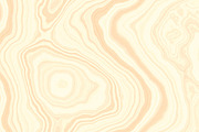 Seamless Basswood Texture, a Texture Graphic by Textures & Backgrounds