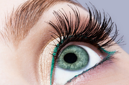 Female eye zone and brow with evenin containing eye, green, and lashes ...