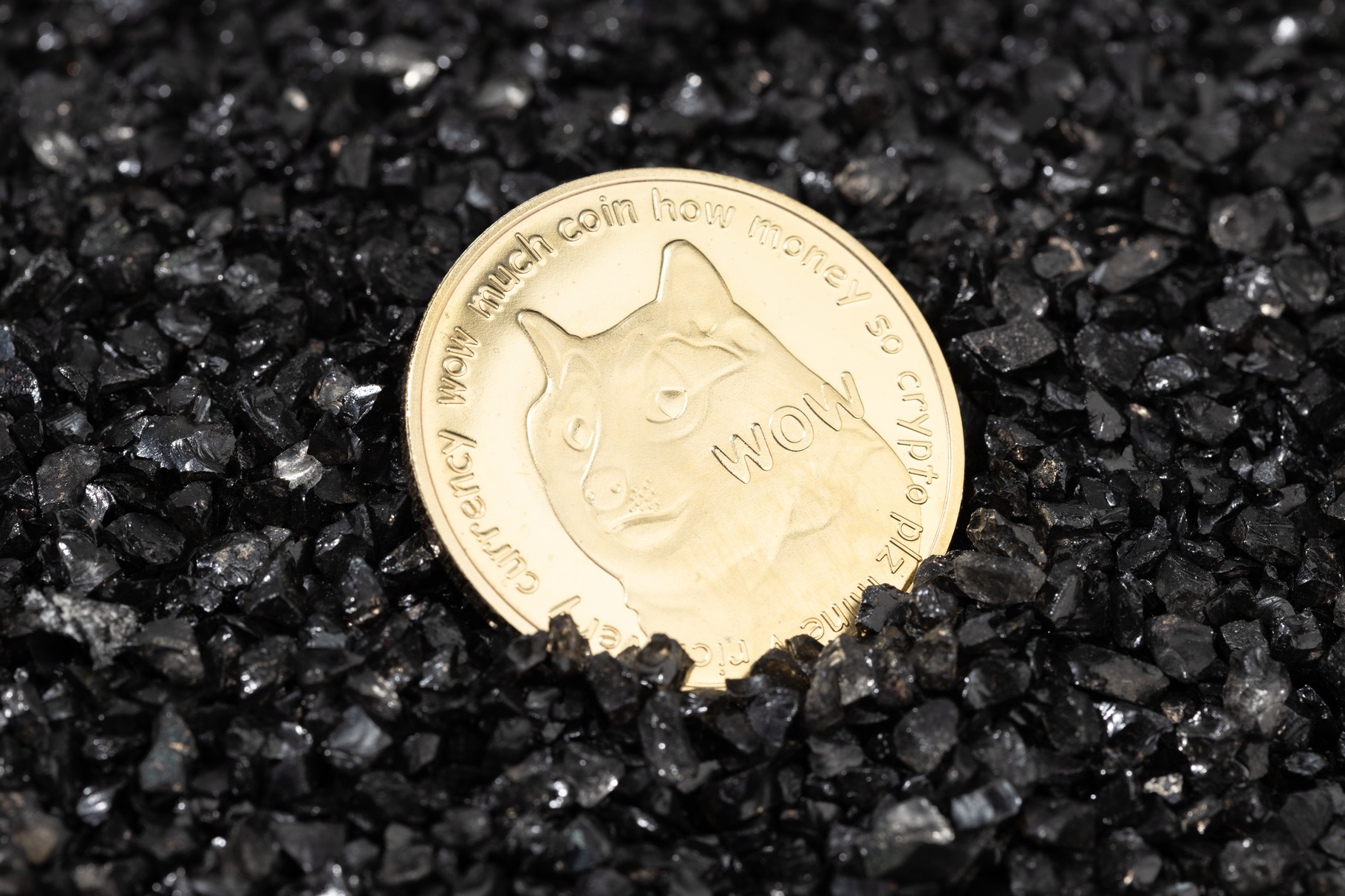 Dogecoin coin on black gravel, a Background Photo by Formatoriginal photo