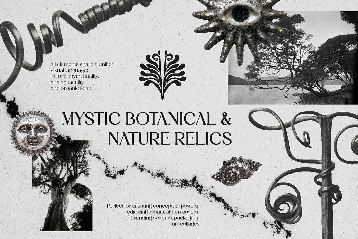 Mystic Botanical & Nature Relics