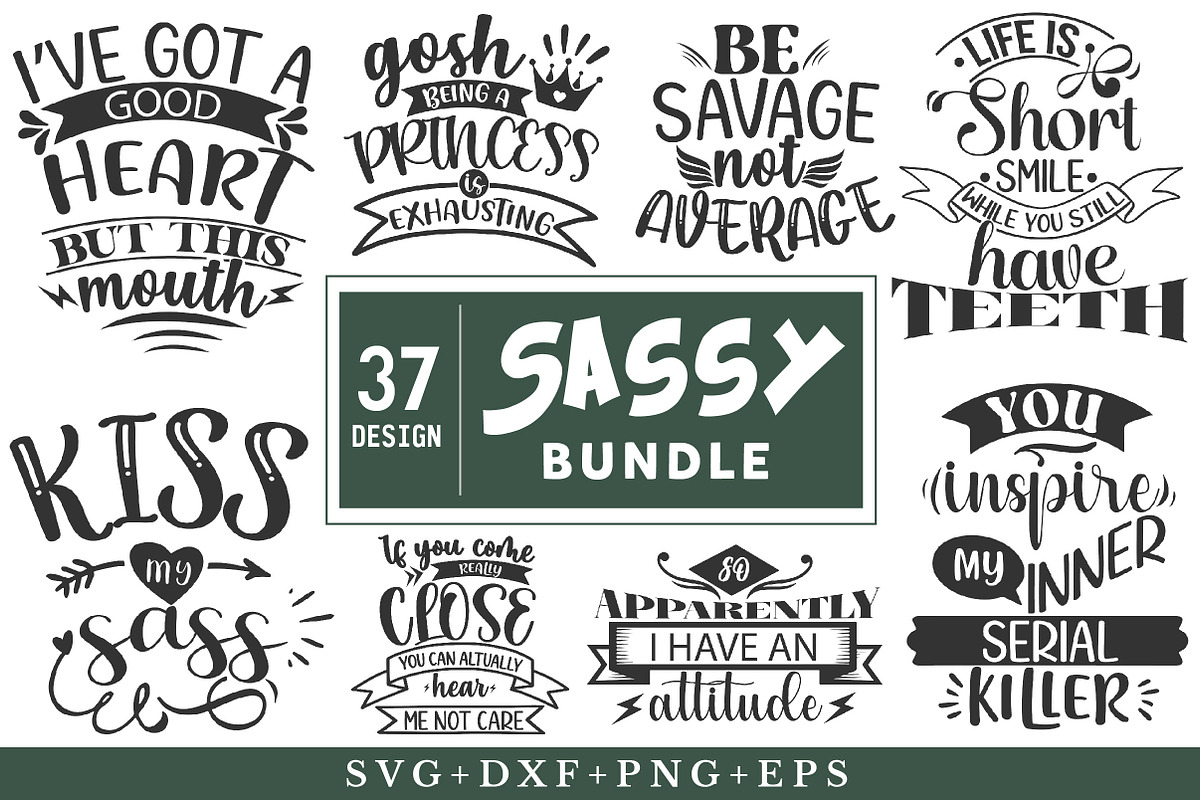 Sassy Svg Bundle, an Illustration by Libby Wishes