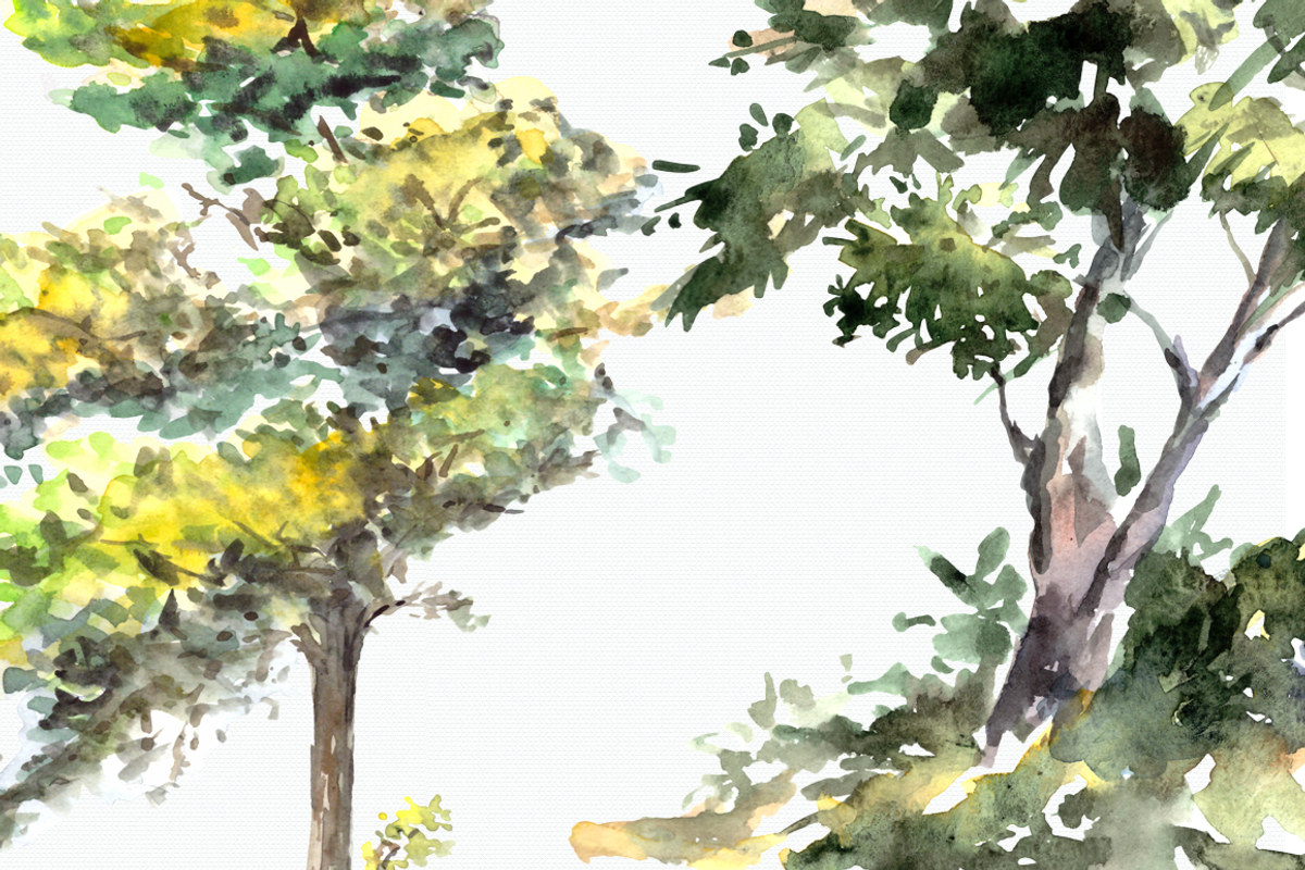 Watercolor Trees Clip Art Set, an Illustration by Tati Bordiu