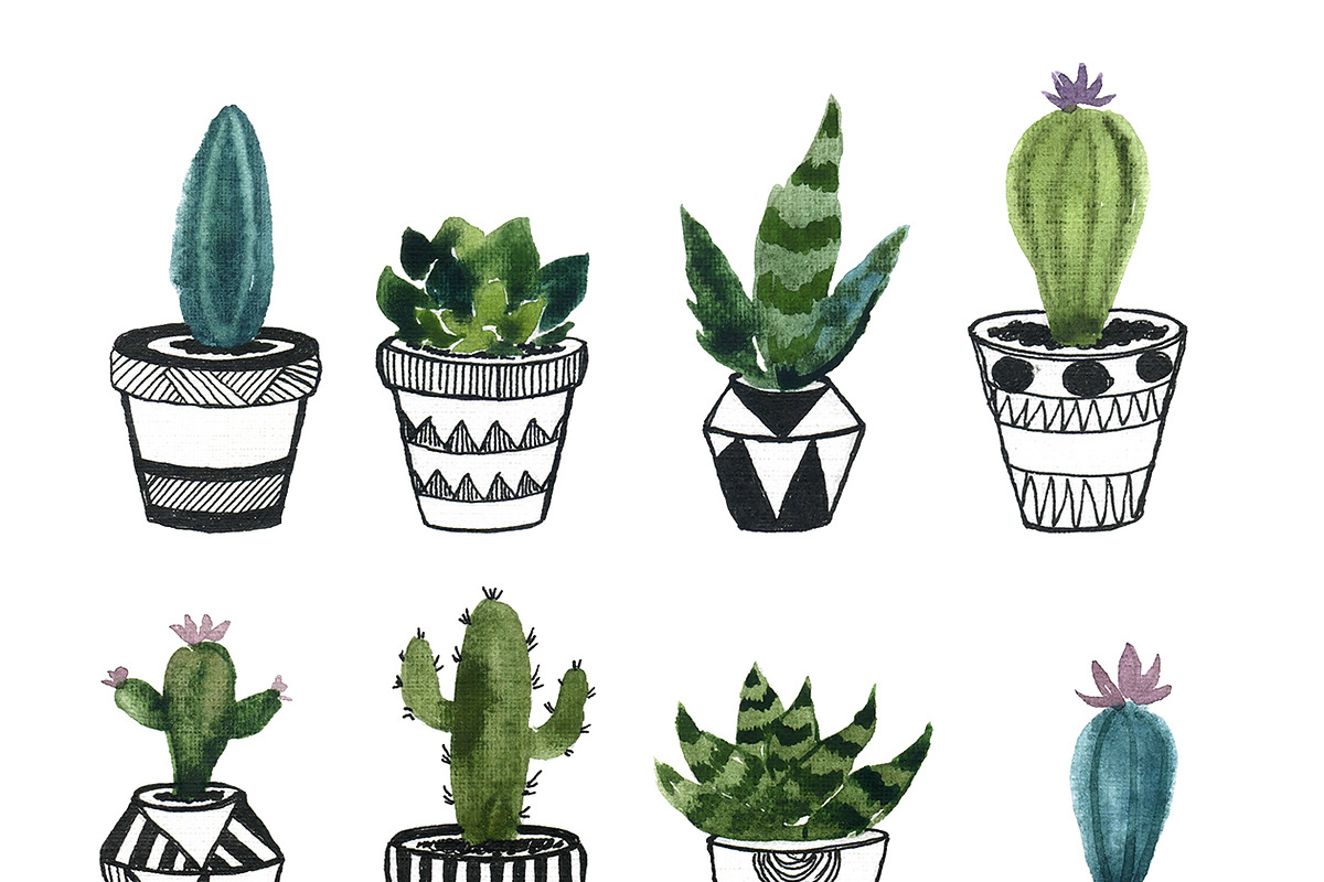 Floral clipart Watercolor cactus png, an Illustration by KomtsyanTatyanaArt