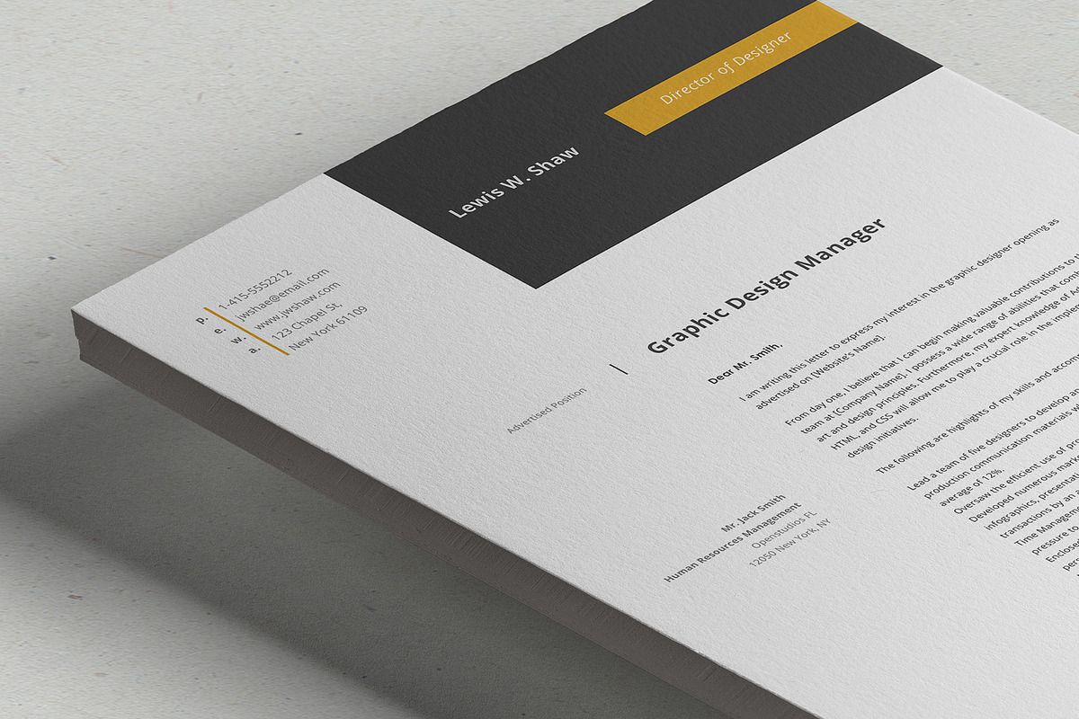 Delta Resume Template, a Resume Template by Nina Shaw