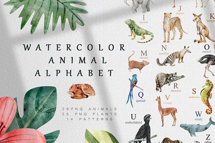 Animal alphabet | Animal Illustrations ~ Creative Market