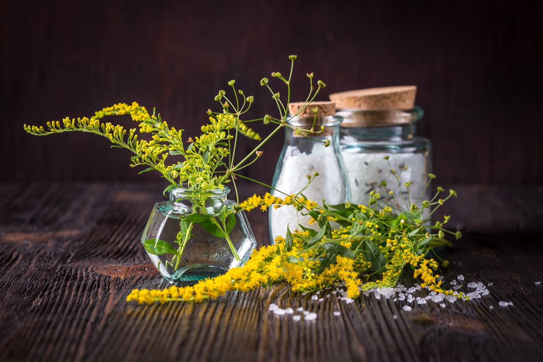 Wild flowers in a bouquet containing solidago, summer, and beautiful ...