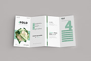 Four-Fold (4 fold) Brochure Mockups, a Print Template by pmvch