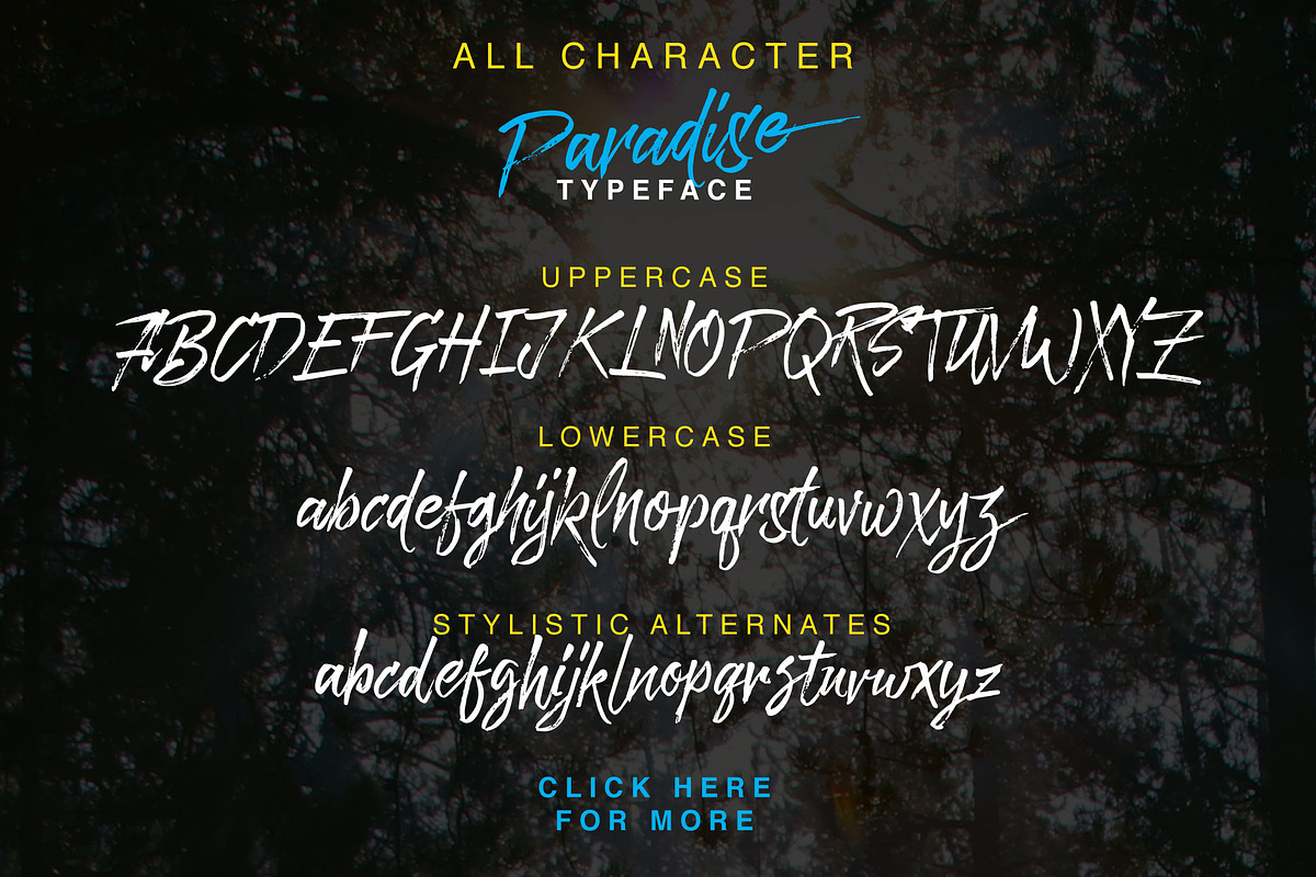 Paradise Typeface, a Script Font by QueenType