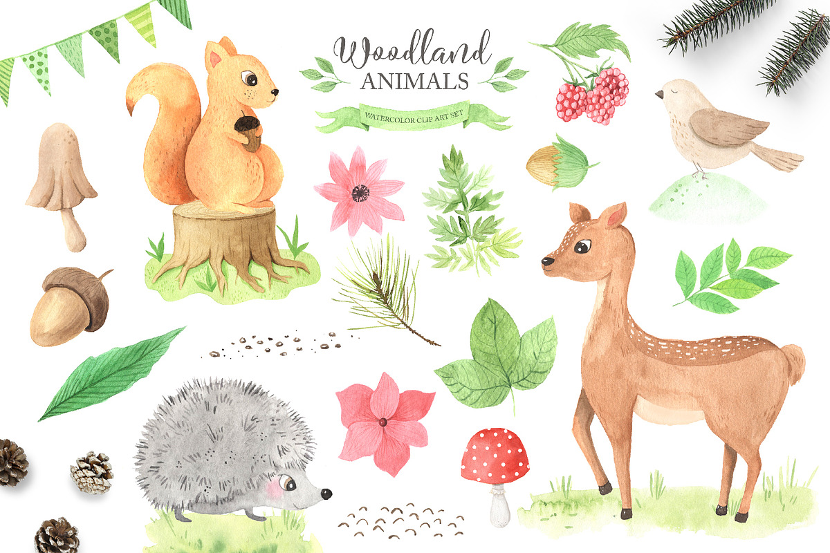 Watercolor Woodland Animals Set, a Graphic by LarysaZabrotskaya