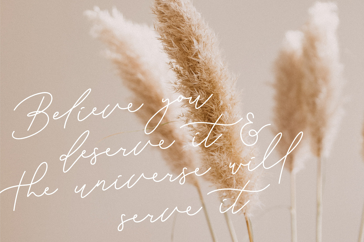 Chantelle | Handwritten Script Font, a Handwritten Font by Monterey Studio