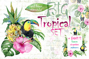 Watercolor Tropical set, an Illustration by WatercolorArt
