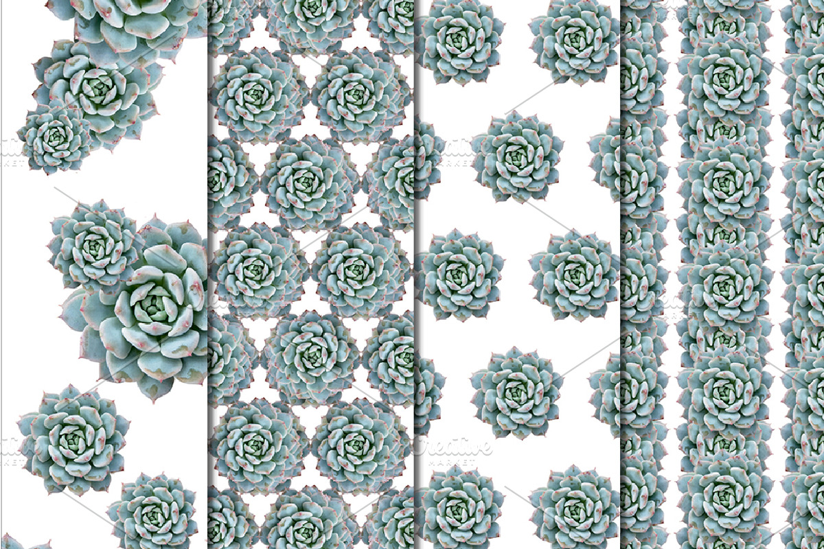 Succulent Patterns - Digital Paper, a Pattern Graphic by Turning Moss